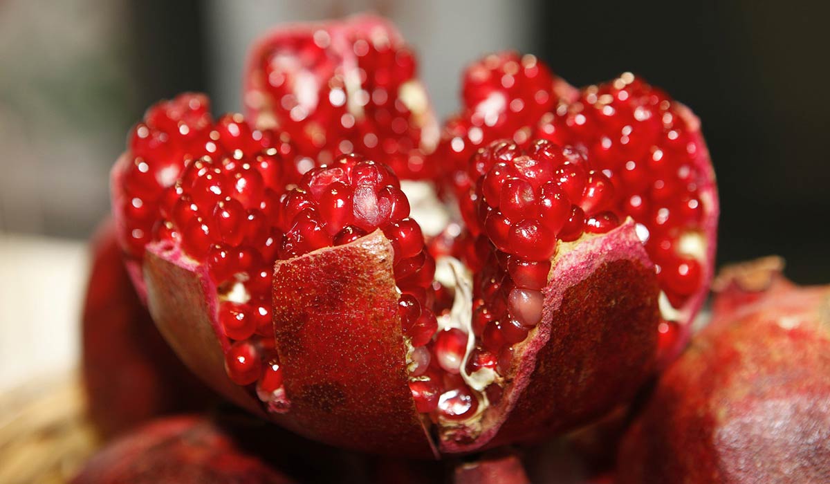 Casca de romã é medicinal: não jogue fora, reaproveite - greenMe