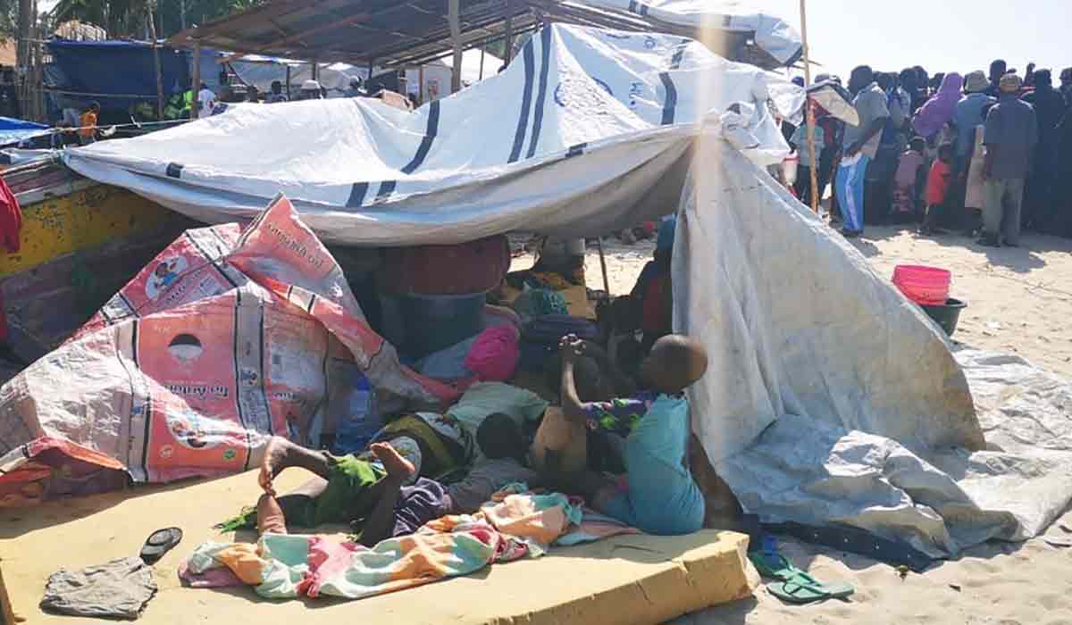 ONU estima que há mais de 80 milhões de refugiados em 2020 - greenMe