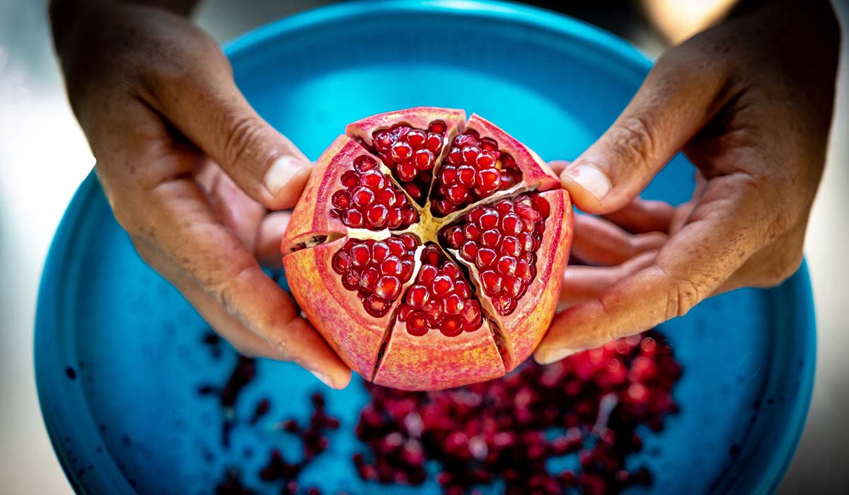 Romã: uma fruta cheia de símbolos, significados e mistérios - greenMe
