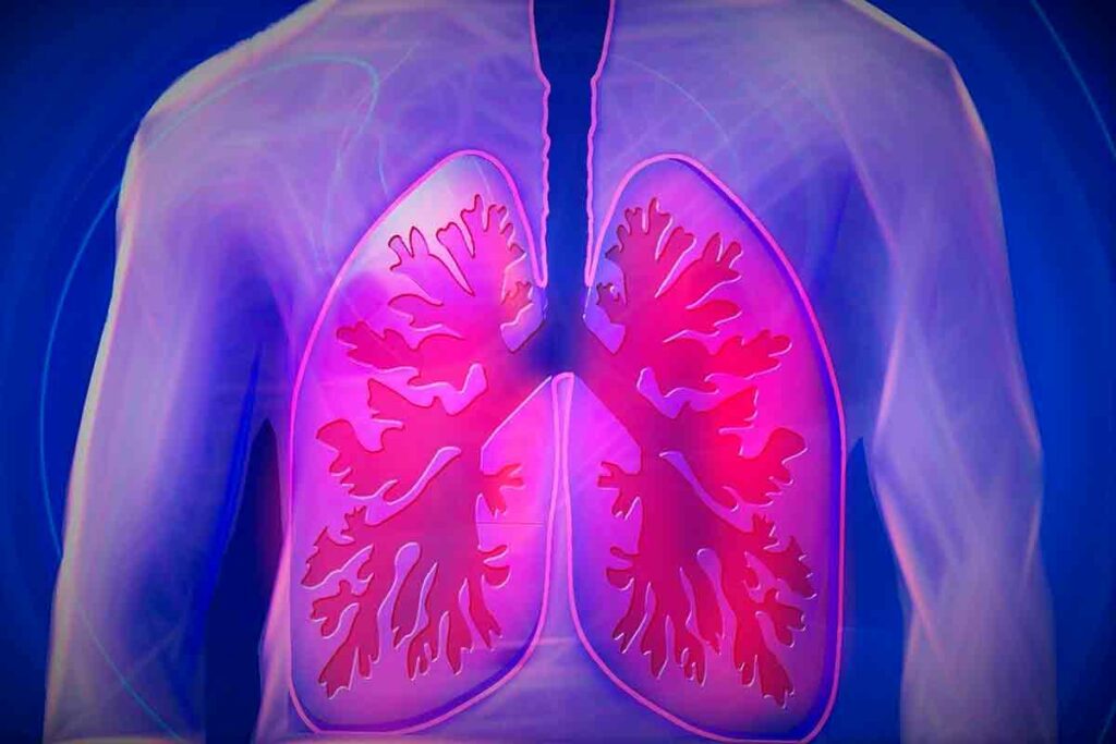 As Causas Emocionais das Doenças Pulmonares - greenMe