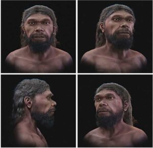 A Reconstrução do Primeiro Rosto Humano: o Homo sapiens de Jebel Irhoud ...